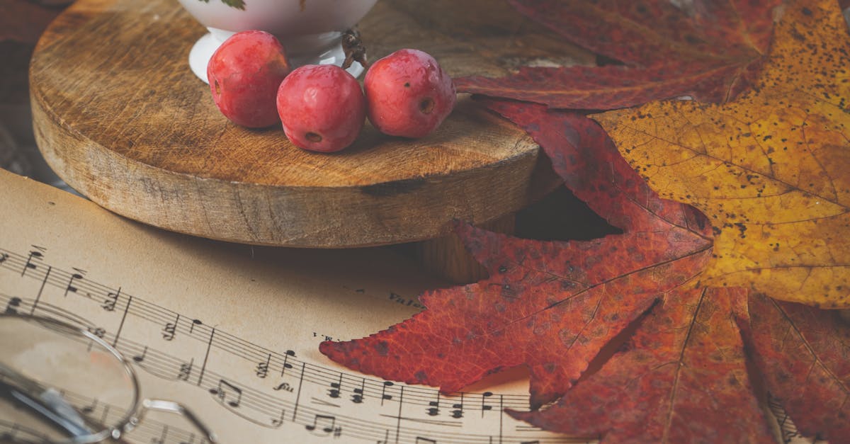 Songs About November - Emertainment Monthly